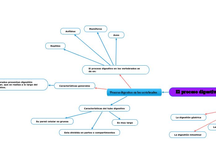 Proceso digestivo en los vertebrados - Mind Map